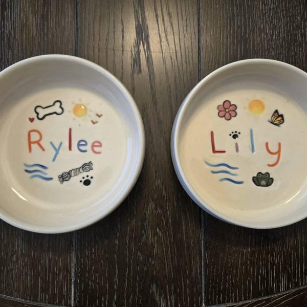Custom Cute and Cheerful Pet Plate, 2 to 3 Designs, Handmade Pottery ...