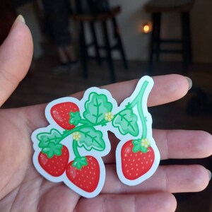 Grape Vine Stars Kawaii Food Stickers Cute Stickers Fruit - Etsy