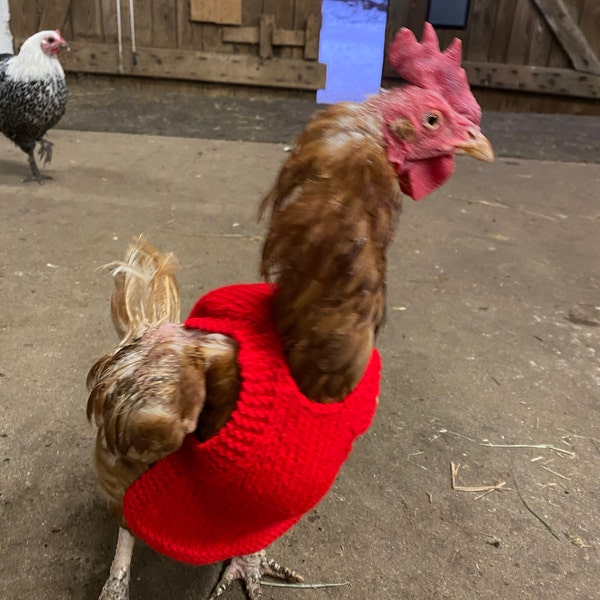 Chicken Jumper -hand Knitted -knit/made to Order -bespoke -chicken ...