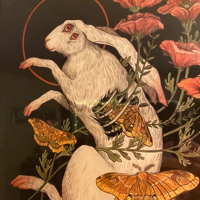 White Rabbit With Poppy Flowers Giclee Print From Original Hand ...