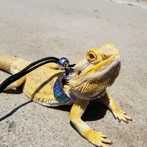 Leather Lizard HarnessAquarius | Etsy