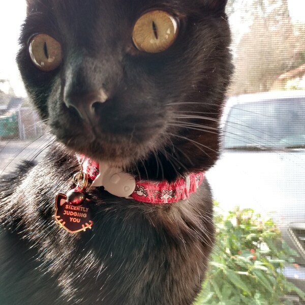 Pet Id Tag • Cat Id Tag • Personalized Tags • Cat Id Tag Engraved ...
