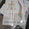 Cat 10 Health Concern Poster, Anatomy & Veterinary Physiology Feline ...