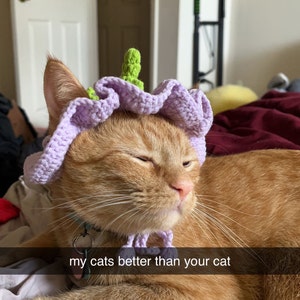 Flower Hat Crochet Hat for Cat or Small Dog Crochet Eggplant Hat ...