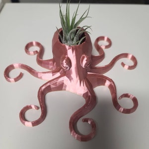 Octopus Planter Large - Etsy
