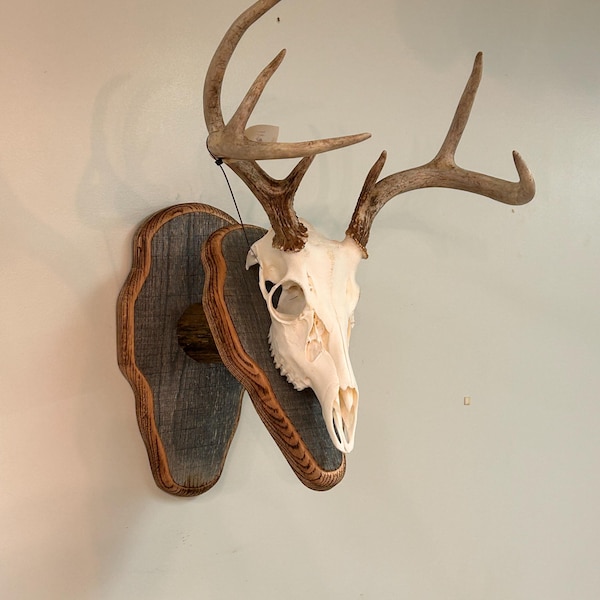 Barn Wood European Wall Mount - Etsy