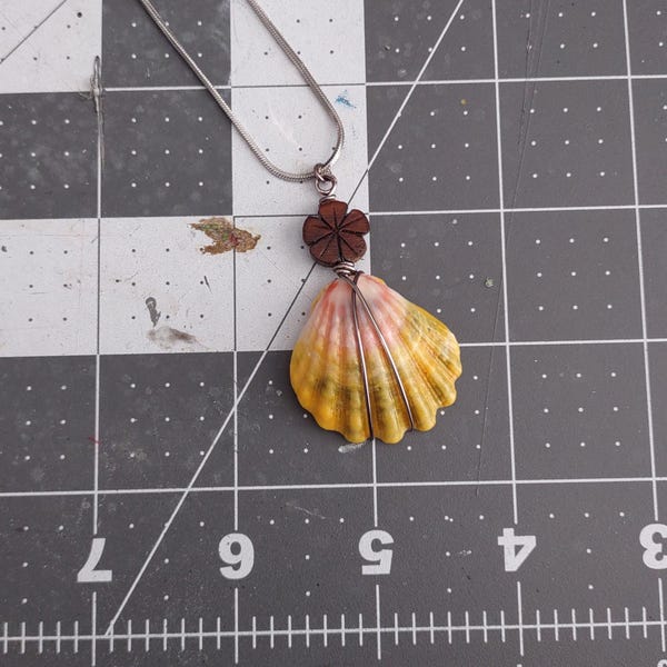 Nasa Shell Lei - Dove Tail Shell by Dozen Bulk Costume - Necklace ...