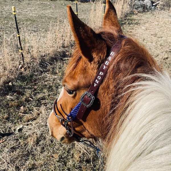 Custom Barrel Racing Reins/ Adjustable Reins - Etsy