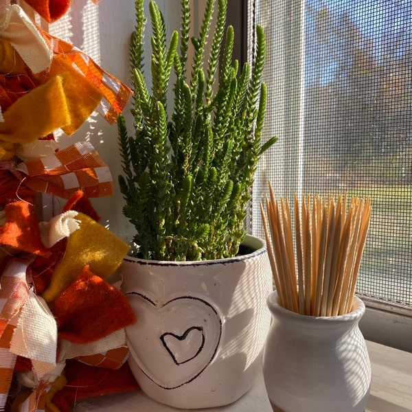 Matchstick Holder | Succulent Pot | Toothpick Holder | Succulent Holder ...