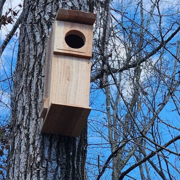 Barred or Great Horned Owl Nesting Box Made of Pine and Cedar - Etsy