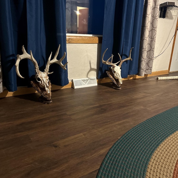 Arrowhead Table Top Deer Euro Skull Mount Display - Etsy