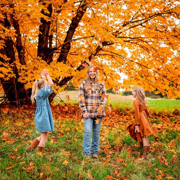 Falling Leaves Overlay, Falling Leaf Overlays, Fall Leaves, Autumn ...