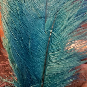 Rare Feathers 10 Pieces Natural Light Blue Common - Etsy