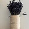 Dried Bunch of 100 Pencil Cattails, Mini Cattails, Fall Decor, Autmun ...