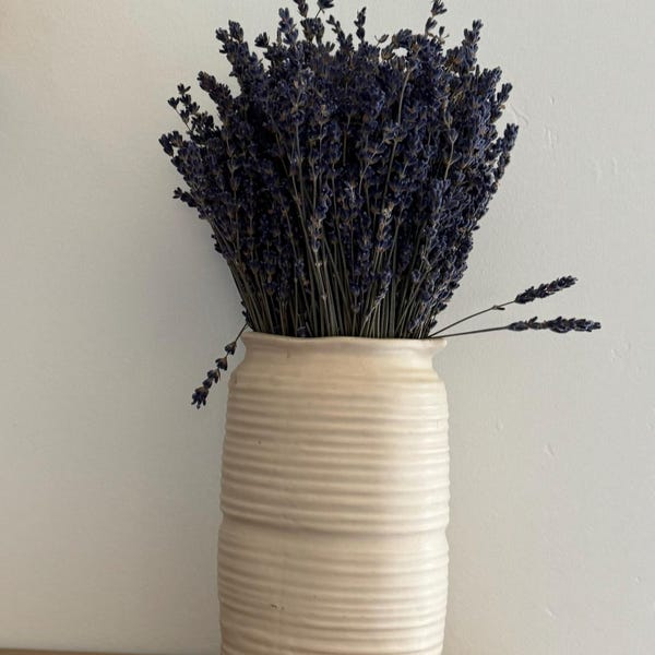 Dried Bunch of 100 Pencil Cattails, Mini Cattails, Fall Decor, Autmun ...