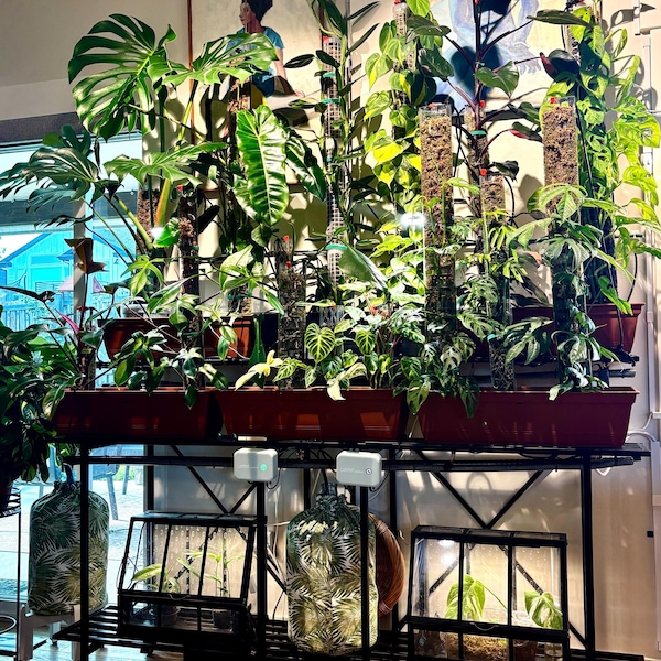 Outstanding Photo Holder, Photo Frame, Photo Display,photo Collage ...