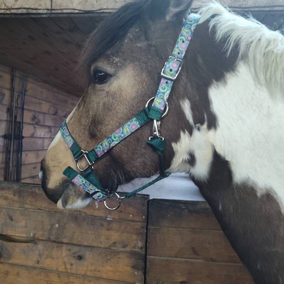Custom Horse Inlay Halter YOU DESIGN Nylon Handmade USA by Halter All ...