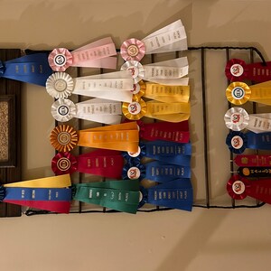 Personalized Show Ribbon Display - Etsy