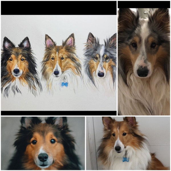 Multiple Pet Portraits, Custom Dog Portraits, Custom Pet Portraits ...