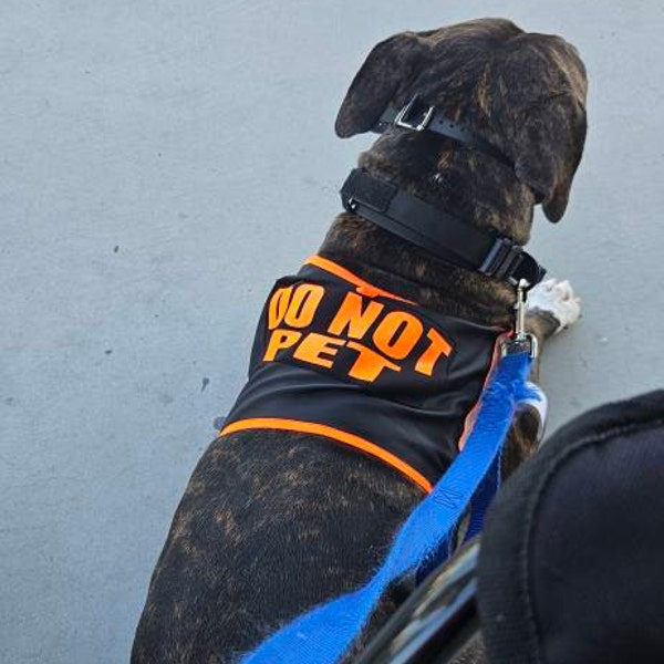 Dog Vest DO NOT PET Alert Vest - Etsy
