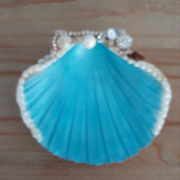 6 Pcs Irish Baking Clam | Semi-white Scallop Clam | Scallop Clam ...