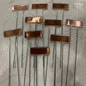 Perfect Match Cup for Bachelorette Party Decor the Perfect Match Bach ...