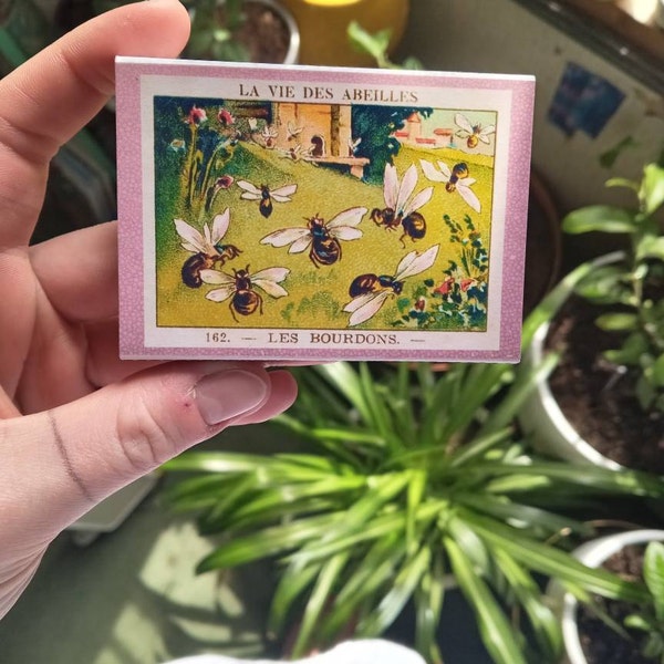 Large Matchboxes | Handmade in Oregon | Choose 2+ & Save! | Vintage ...