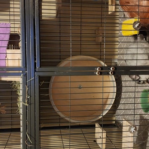 16 New Wheel Conception by Rodents Home. Aluminium Hoop Installed ...