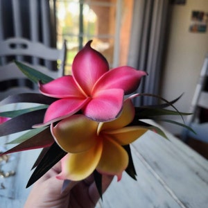 Polynesian Headdress Lei Po'o Premium Tahitian Flower Crown for Ahuroa ...