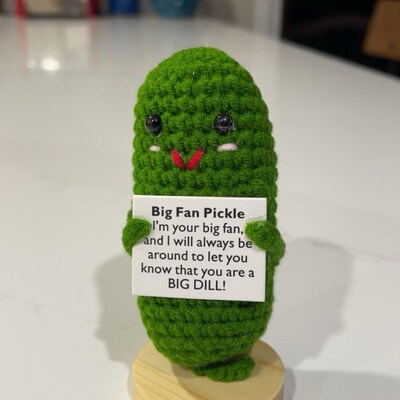 Positive Pickle,emotional Support Pickle,big Fan Pickle,handmade ...