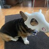 Cubone Dog Mask / Dinosaur Mask / Dog Costume / Funny Dog Gift / 3D ...
