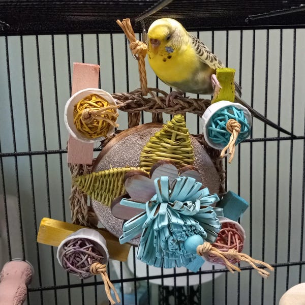 Botanical Bliss Seagrass Foraging Tray - Rose Blossom - Foraging Tray ...