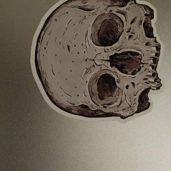Skull Sticker, Skull, Anatomy, Medicine Student, Creature, Vinyl ...