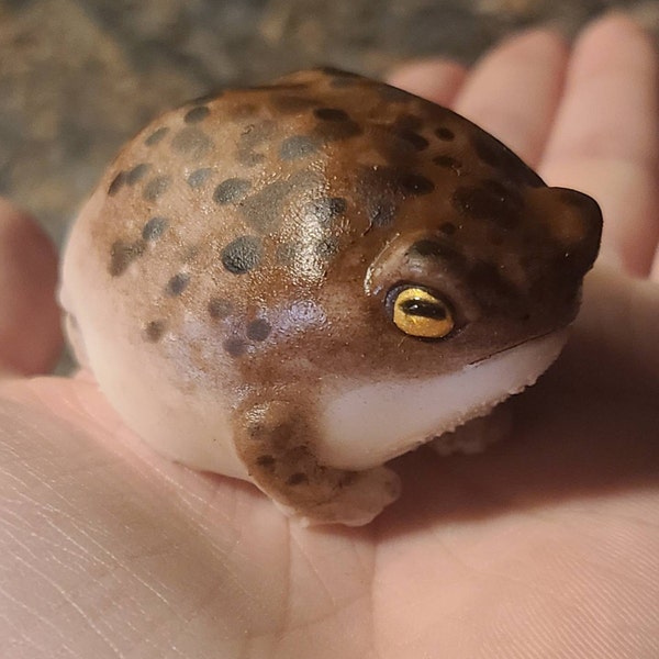 SQUISHY Desert Rain Frog. Cute Butt Frog Fidget Weirdcore Desk Toy for ...