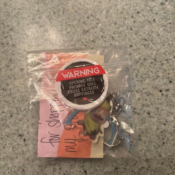 Acrylic Cat Meme Keychains, Keychain, Banana, Apple, Kiwi, Meme, Cat ...