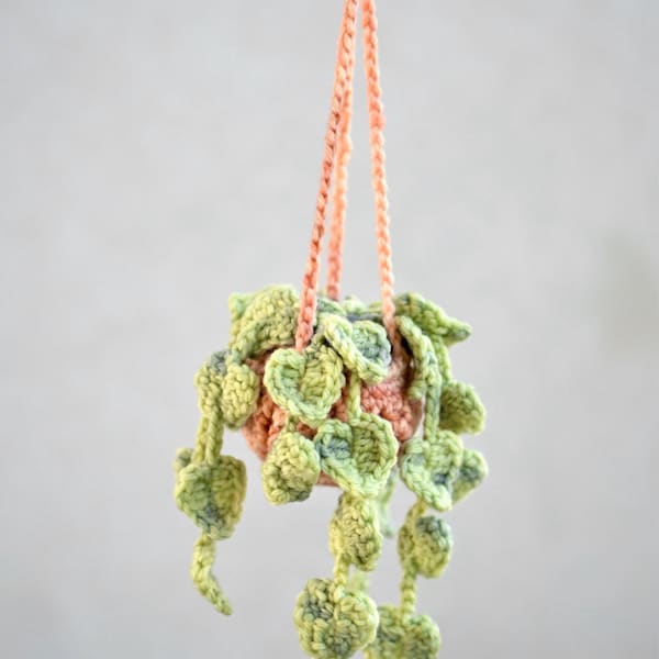2in1 Hanging Basket Crochet Pattern Bundle | Pothos Neon and Wisteria ...