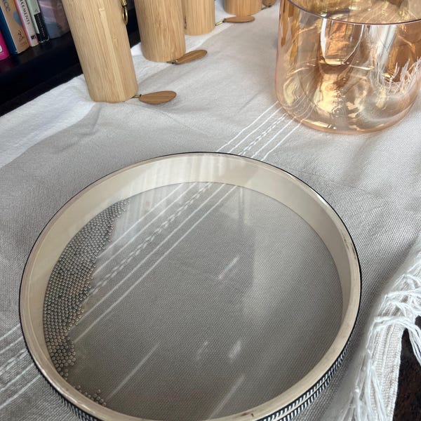 Seed Shell Shaker Cha Cha Nut Sound Healing Gift Box Back to Nature ...