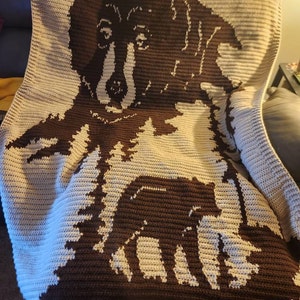 Harley-davidson Crochet Afghan Pattern Graph - Etsy