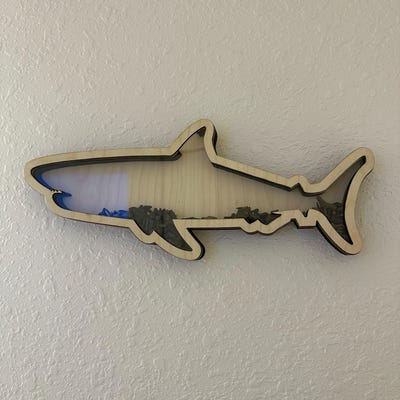 Shark Teeth Shadow Box for Shark Teeth, Small Shells, Fossils, Agates ...