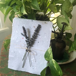 Unbleached Abaca Pulp, DIY Paper Making Pulp for Hand Paper Making ...