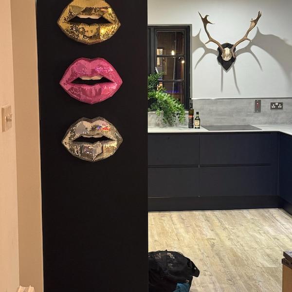 Framed Cement Lip Wall Art Decor for Home or Office | Statement Art ...