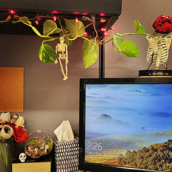 Houseplant Trellis|skeleton|rib Cage|plant Art|indoor Garden Decor|for ...