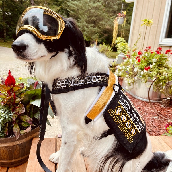 Spooky Dog Patches, Dog Patches, Halloween Dog, Working Dog, Crystal ...