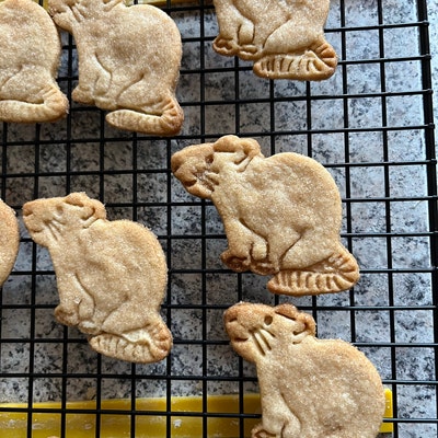 Rats Rat Rodent Cookie Cutter Pastry Fondant Dough Biscuit - Etsy