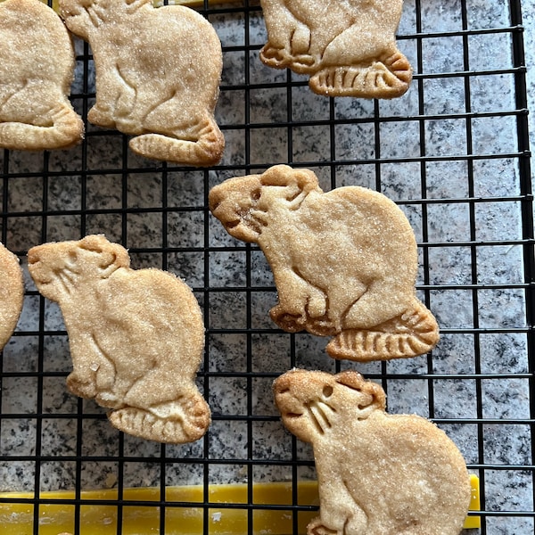 Rats Rat Rodent Cookie Cutter Pastry Fondant Dough Biscuit - Etsy