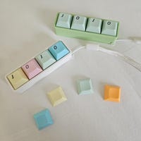 Bulbasaur Keyboard Clicky Fidget Stim Toy, Stress Relief, ADHD, ASMR W ...