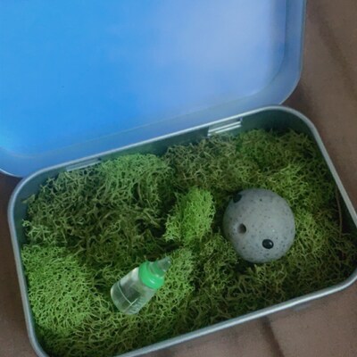 Buy BABY ROCK Magnetic W/ Adoption Certificate Adopt an Adorable Online ...
