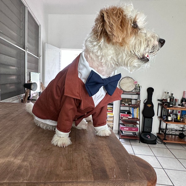 Dog Outfit, Designer Dog Clothes, Dog Wedding Attire,dog Ring Bearer ...