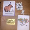 Don't Worry Be Capy Capybara Notepad Checklist Notes - Etsy