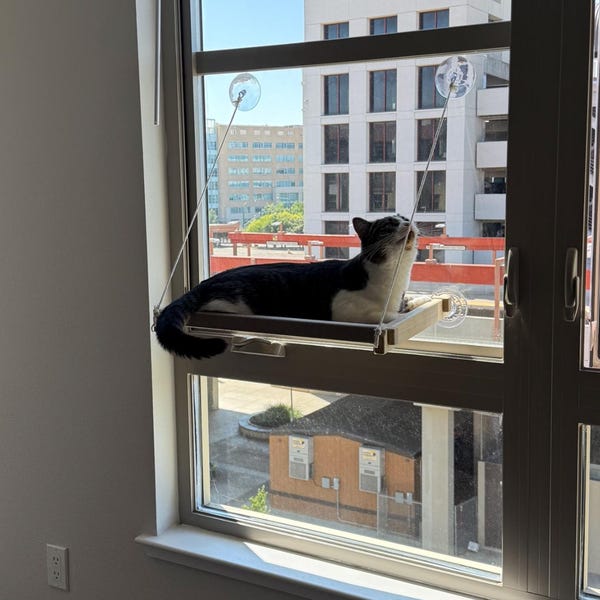 Cat Window Perch, Cat Window Hammock, Cat Window Ledge, Cat Window Bed ...